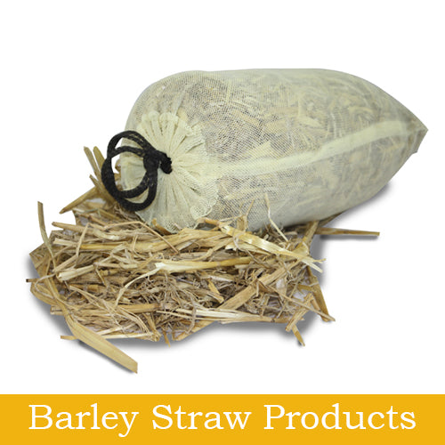 Barley Straw Natural Algae Control | The Pond Shop
