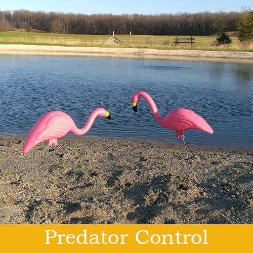 Predator Control For Ponds | The Pond Shop